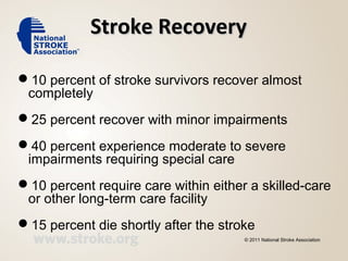 Explaining stroke 101 | PPT