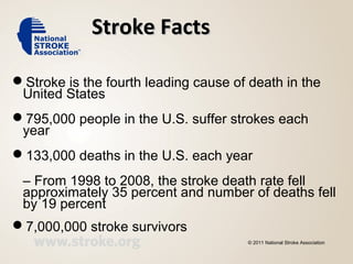 Explaining stroke 101 | PPT