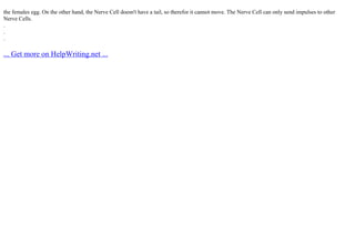 Explain The Diagram Of A Typical Animal Cell | PPT