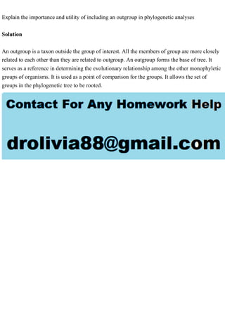 Explain the importance and utility of including an outgroup in phylo.pdf