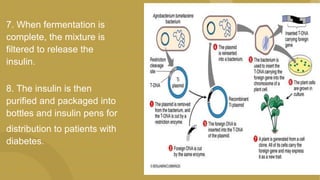 Explain the Process of Genetic-10 agoncillo.pptx