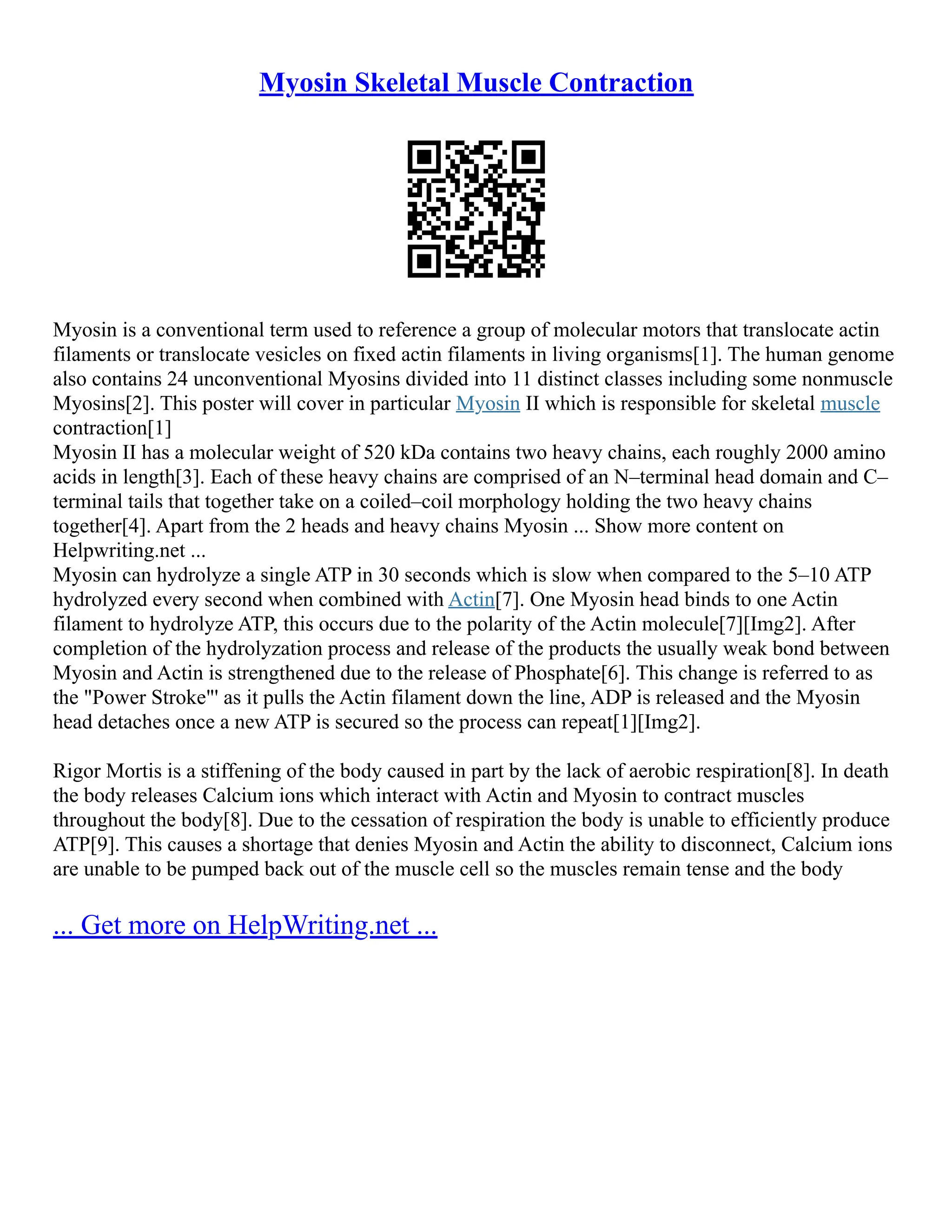 Explain The Three Phases Of Actin Polymerisation | PDF