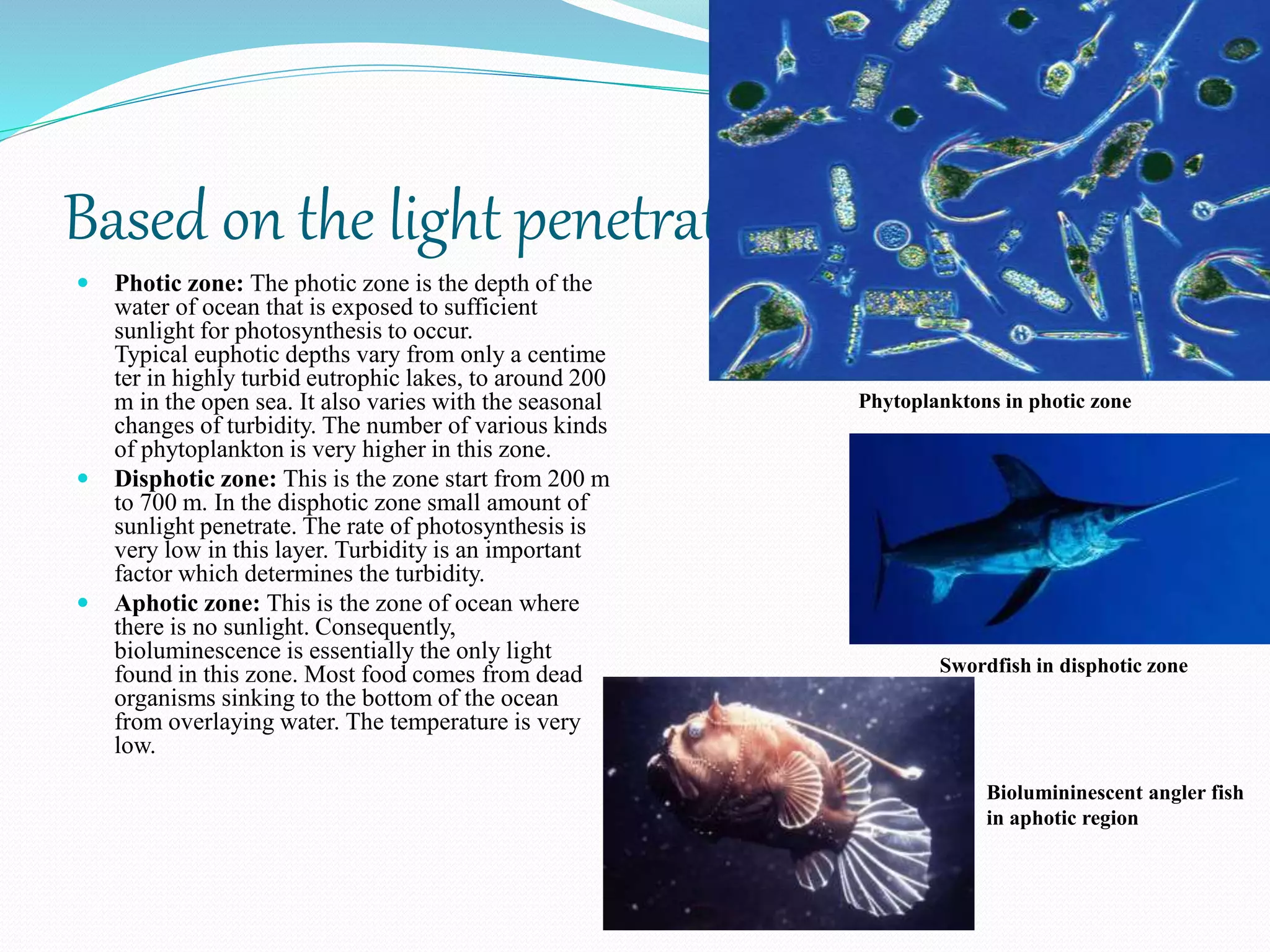 zonations of sea and ecological classification of marine biota | PPTX