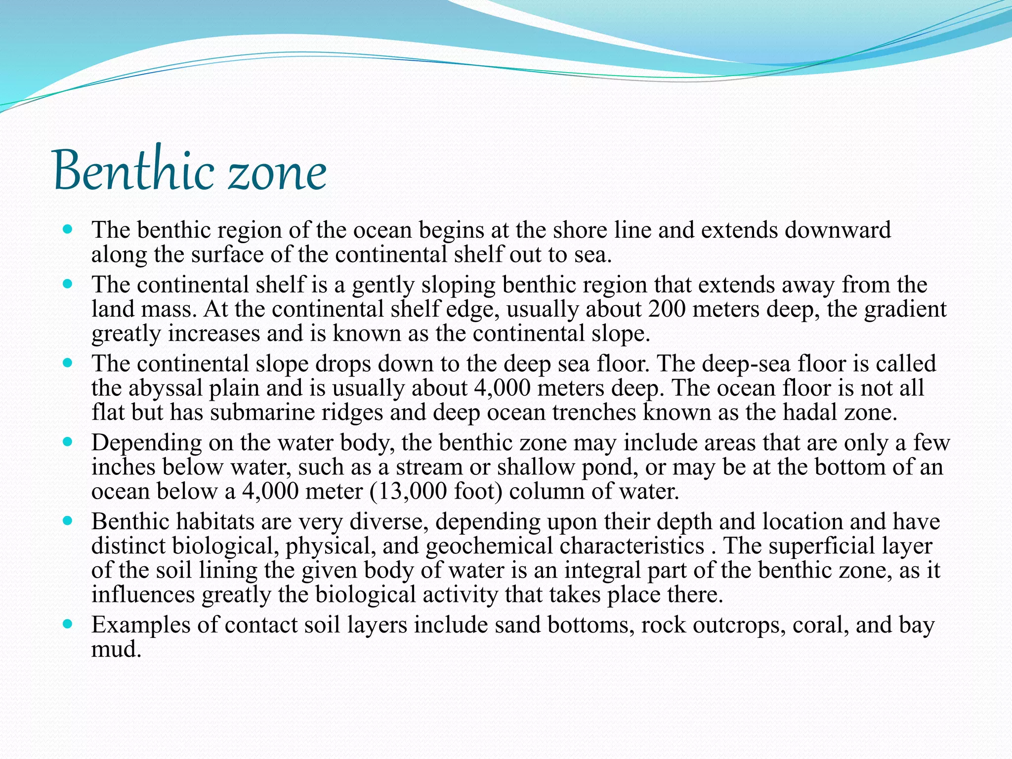 zonations of sea and ecological classification of marine biota | PPTX