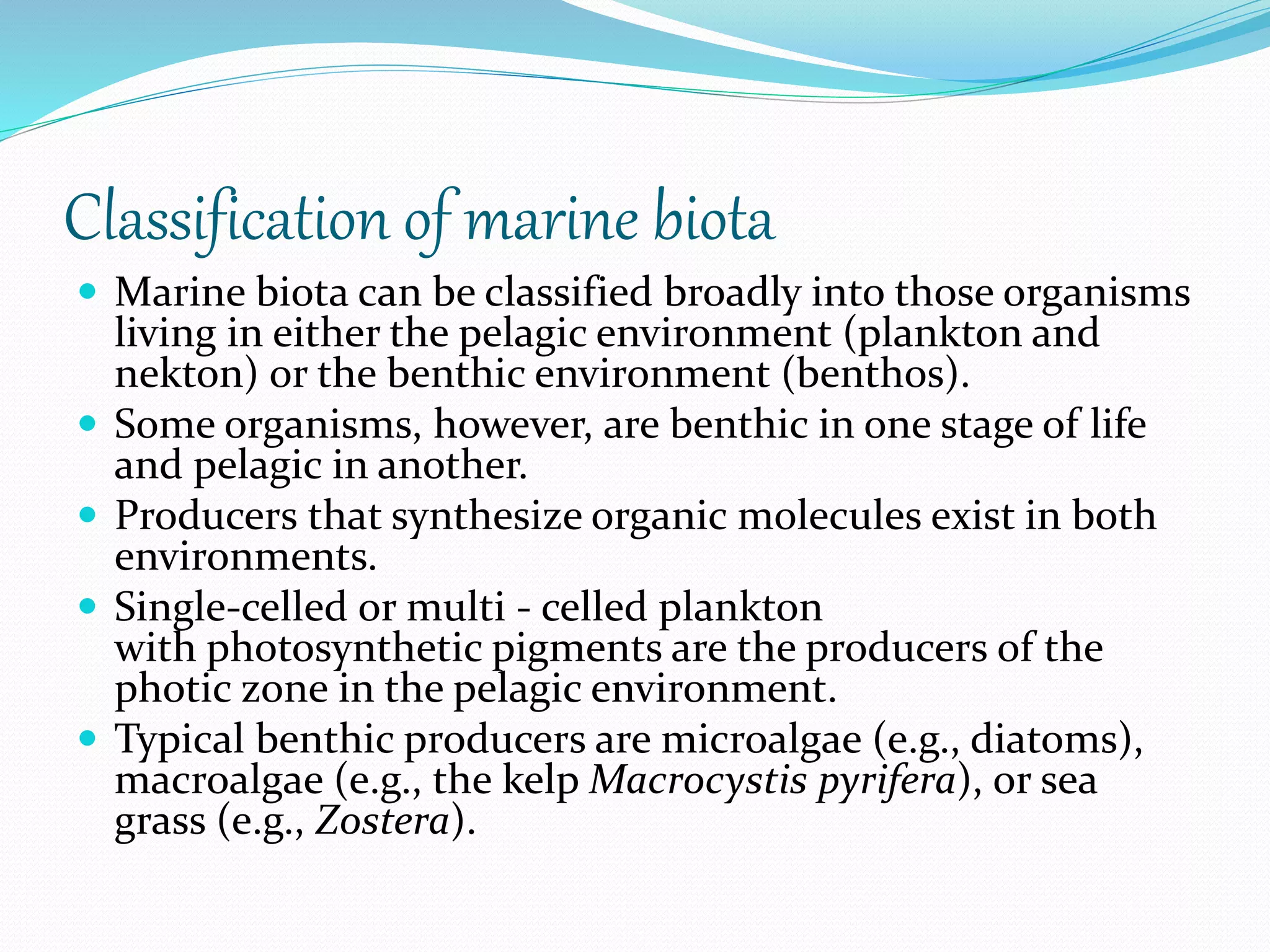 zonations of sea and ecological classification of marine biota | PPTX
