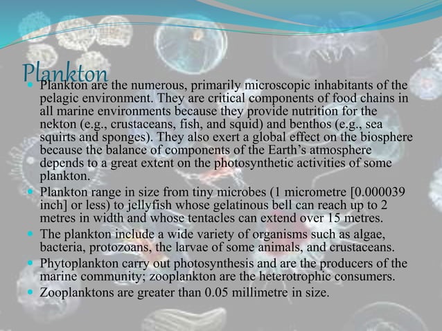 zonations of sea and ecological classification of marine biota | PPTX ...