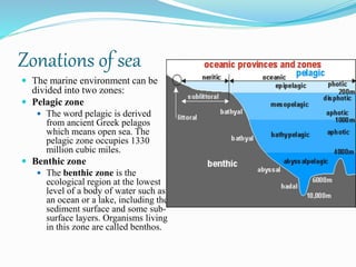 zonations of sea and ecological classification of marine biota | PPTX