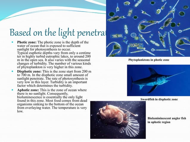 zonations of sea and ecological classification of marine biota | PPTX ...