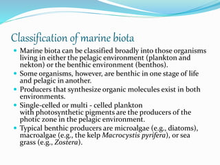 zonations of sea and ecological classification of marine biota | PPTX