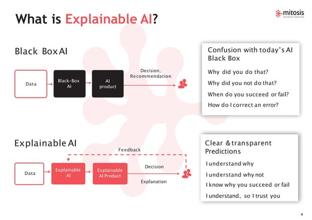 Explainable AI