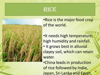 Agricultural practices in our places around us | PDF