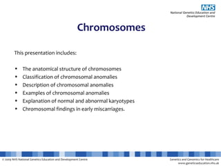 Explanation slides - Chromosomes | PPT