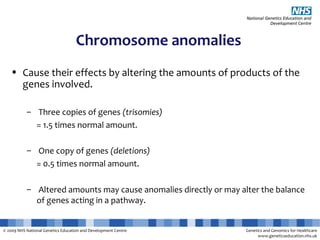 Explanation slides - Chromosomes | PPT
