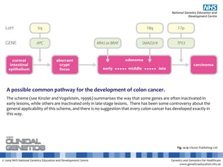 Explanation slides Somatic Mutations cancer | PPT