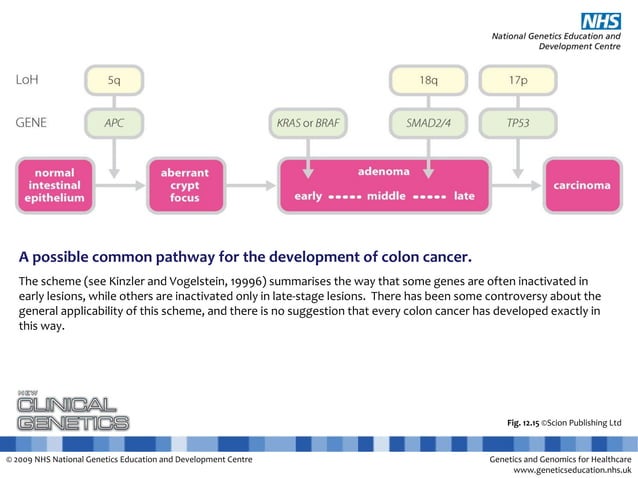 Explanation slides Somatic Mutations cancer | PPT | Cancer | Diseases ...
