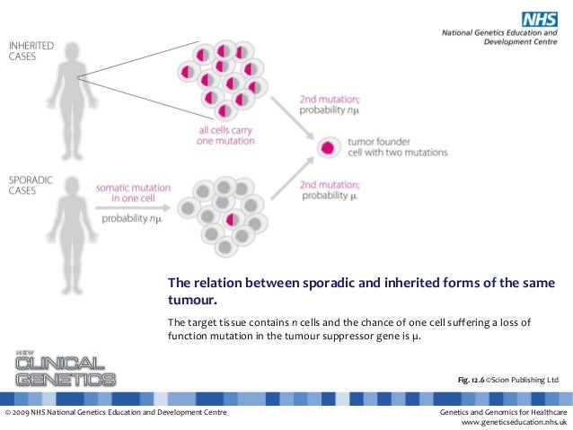Explanation slides Somatic Mutations cancer