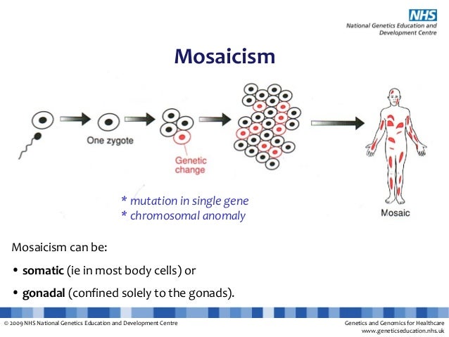 Explanation slides Somatic Mutations cancer