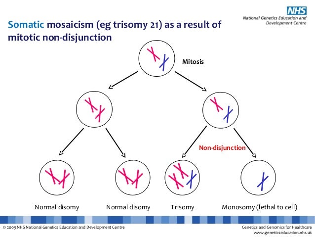 Explanation slides Somatic Mutations cancer