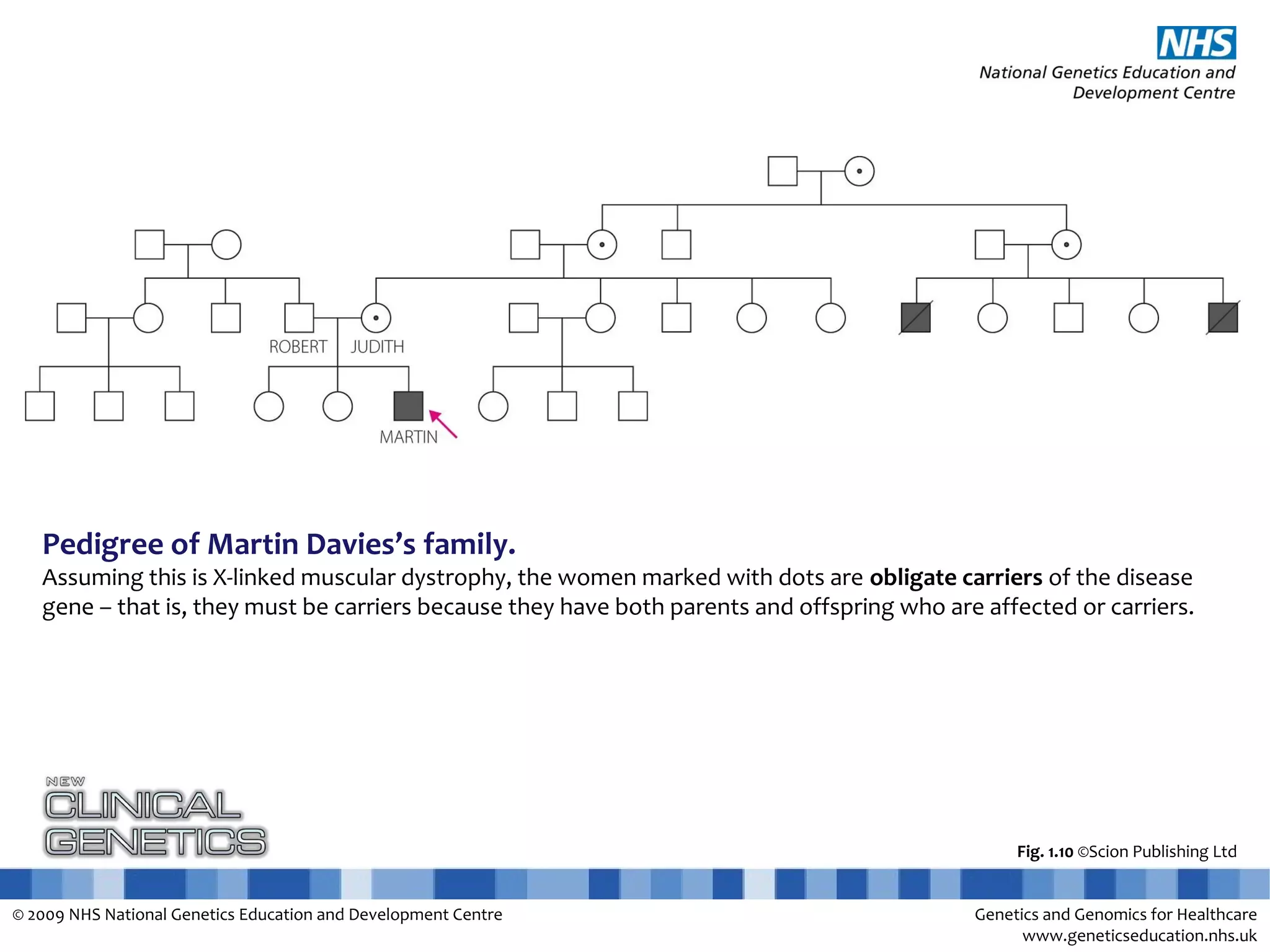 Explanation slides XL Transmission Patterns Phenotype | PPT