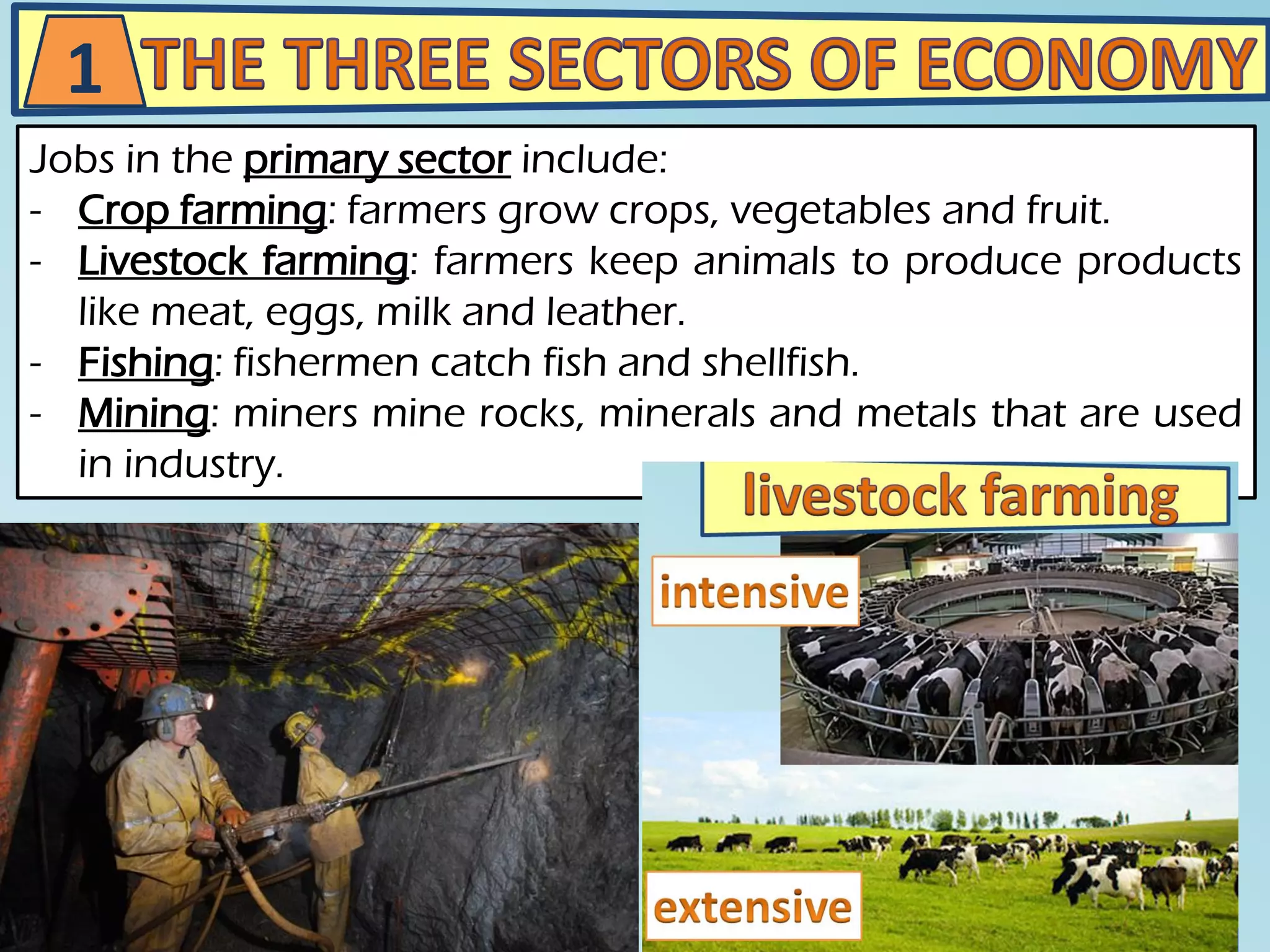 THE THREE SECTORS OF ECONOMY | PDF