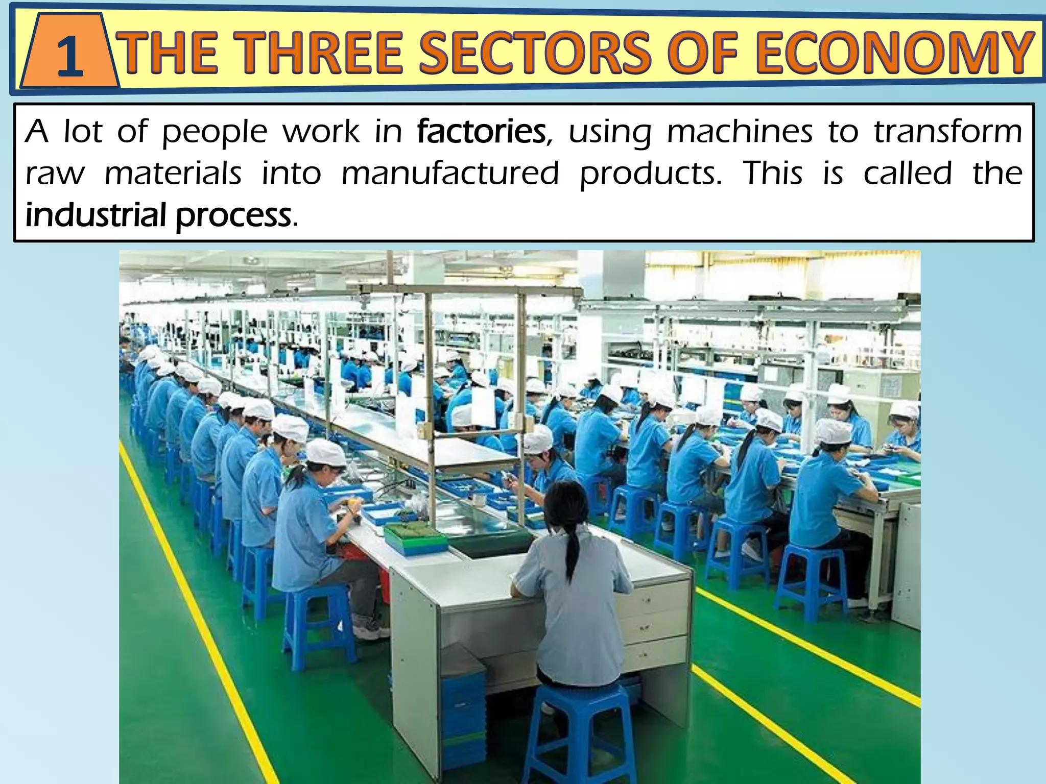 THE THREE SECTORS OF ECONOMY | PDF