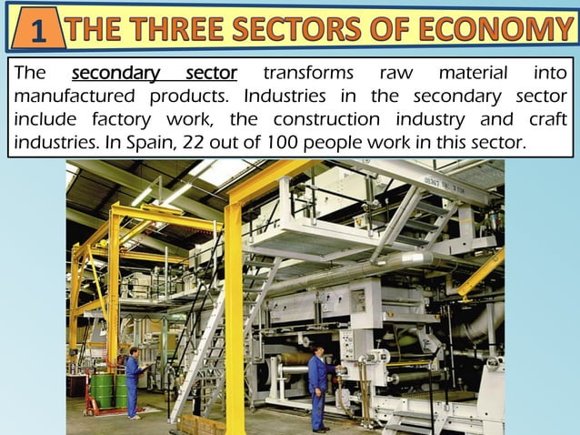 THE THREE SECTORS OF ECONOMY | PDF