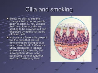 Explanation about smoking santika ainiyati | PPT