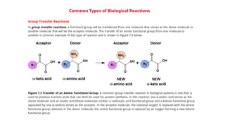 Explanation biology chemistrybiochem.pptx