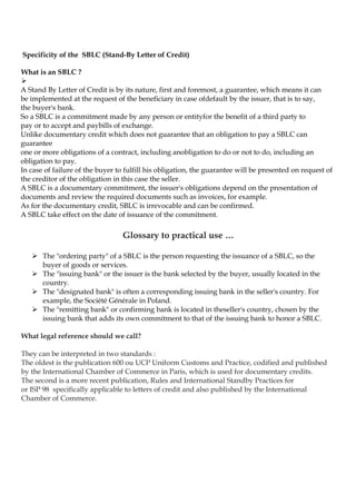 Explanation ppp for company with docs to fill | PDF