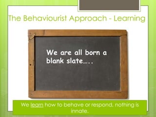 Explanations of Attachment | PPT