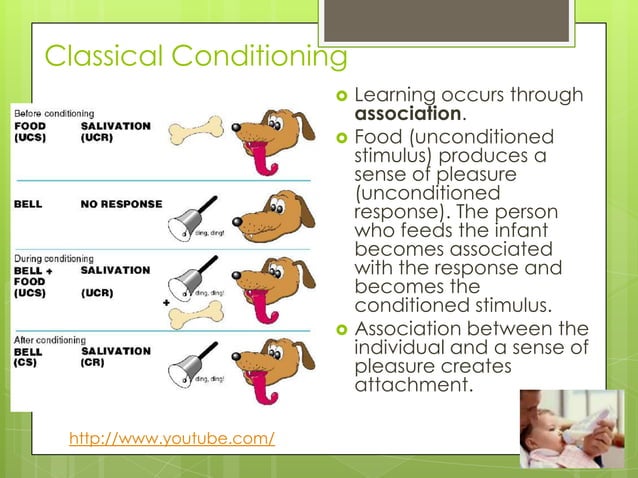 Explanations of Attachment | PPT