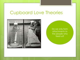 Explanations of Attachment | PPT