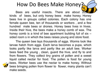 explanation text.pptx