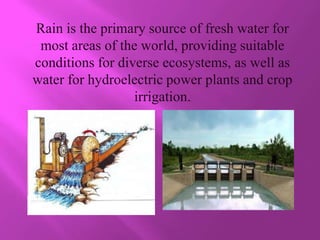 Explanation Text About Rain | PPTX