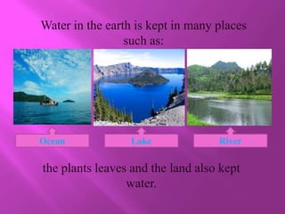 Explanation Text About Rain | PPTX