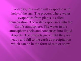 Explanation Text About Rain | PPTX