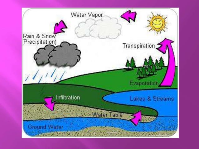 Explanation Text About Rain | PPTX