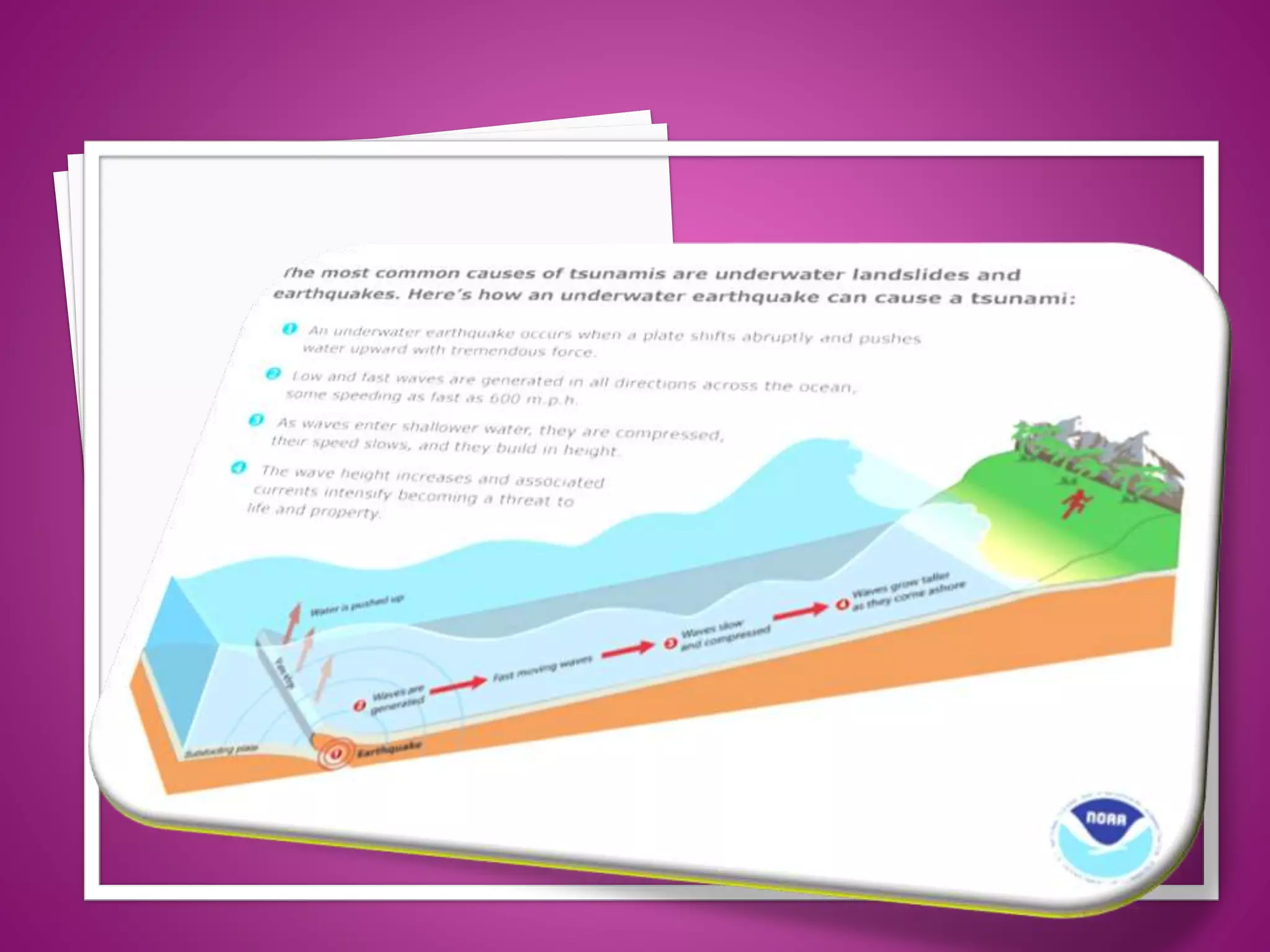 Explanation text tsunami silvy | PPTX