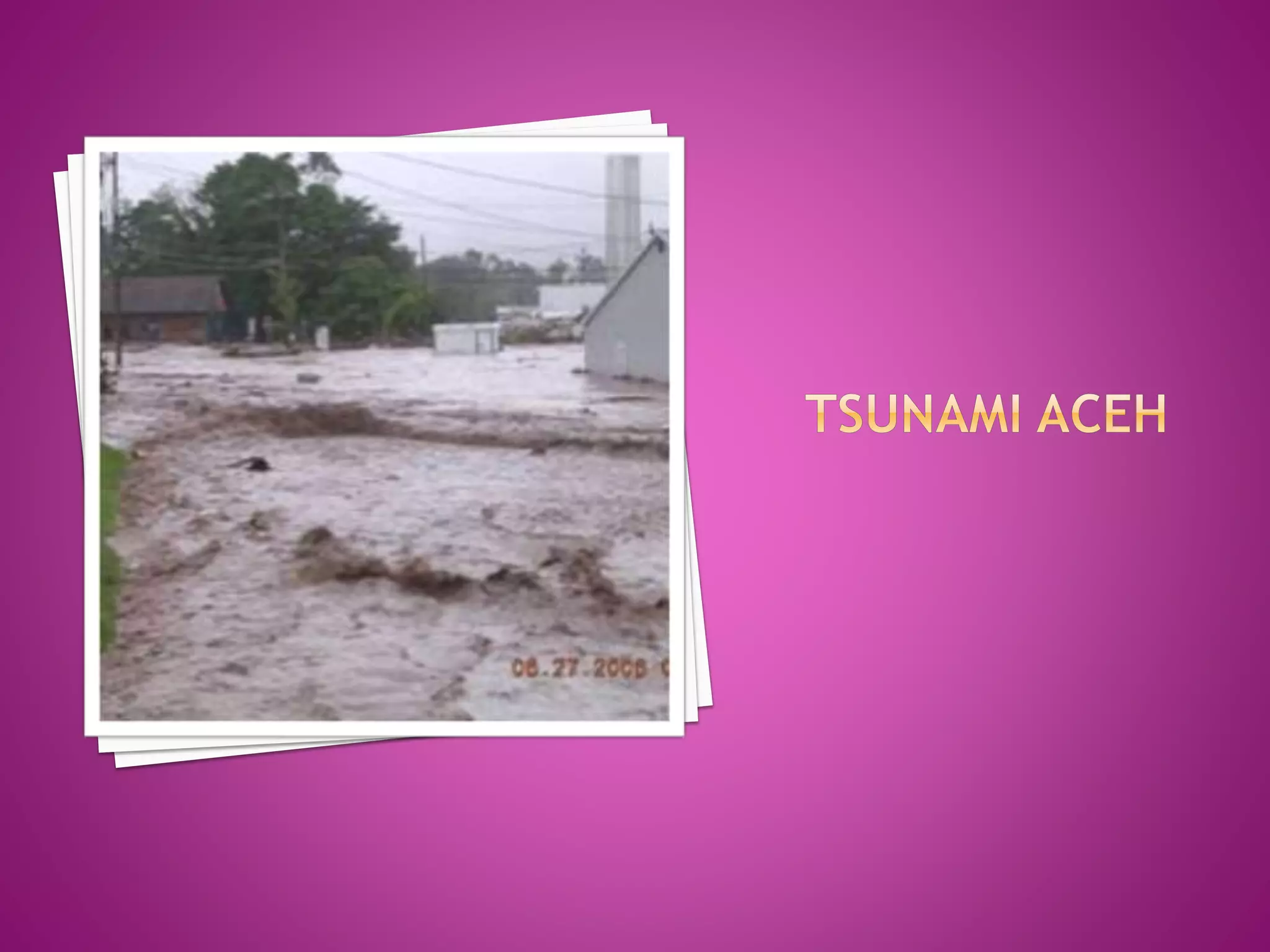 Explanation text tsunami silvy | PPTX