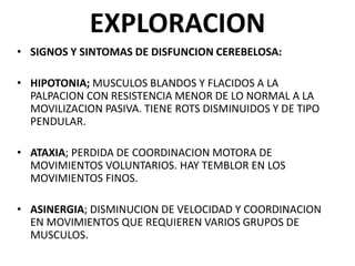 Exploración cerebelo | PPTX