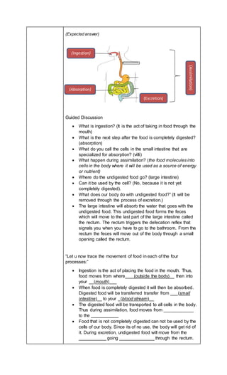 Explicit LP Digestive Proceses.docx
