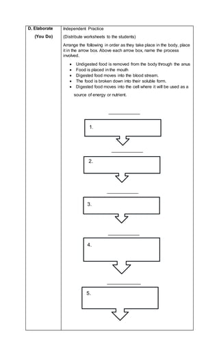 Explicit LP Digestive Proceses.docx