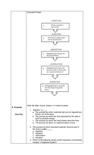 Explicit LP Digestive Proceses.docx