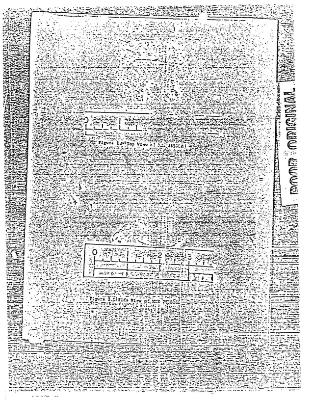 Exploitation report congo | PDF | World/International Music | Music