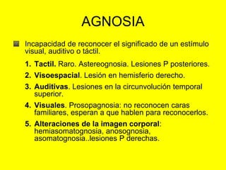 Exploración neurológica | PPT