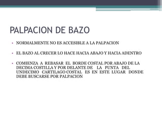 EXPLORACIÓN CLÍNICA DEL ABDOMEN EN EL PACIENTE.pptx