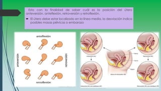 Exploración abdominal bimanual | PPTX