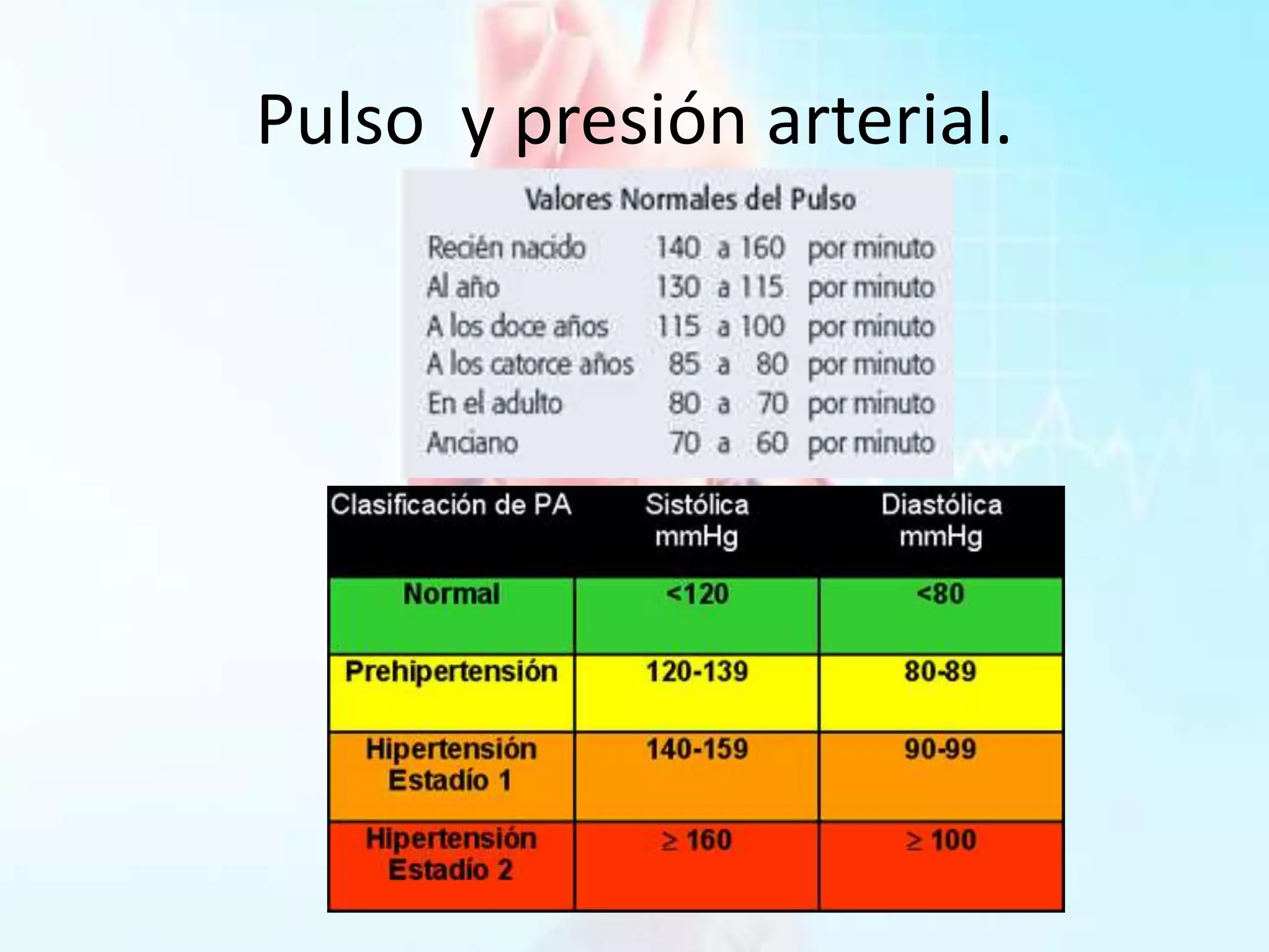 Exploración area cardiaca | PPTX