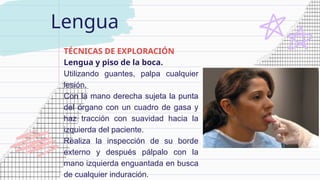 Exploración cara, cráneo y cuello.pptx.facil | PPTX