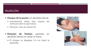 Exploración cardiovascular | PPTX